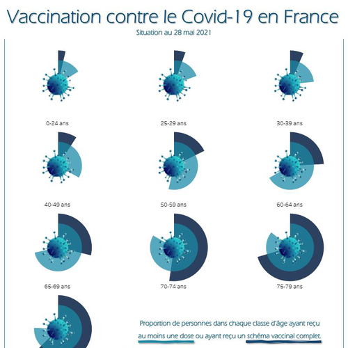 Situation au 29 mai 2021 de la vaccination contre le Covid 19 - Par ...